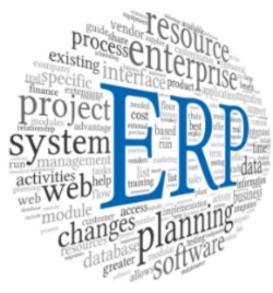 How Do ERP Systems Work?
