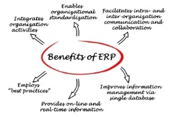 Why Implement ERP Software? - The basics.